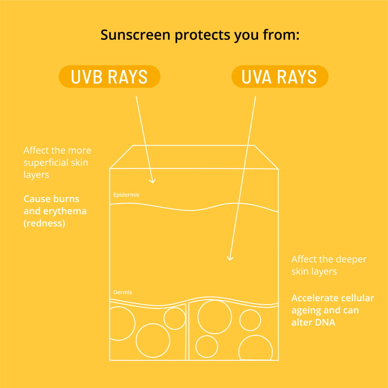 Looking for sunscreen? Everything you should know before choosing yours
