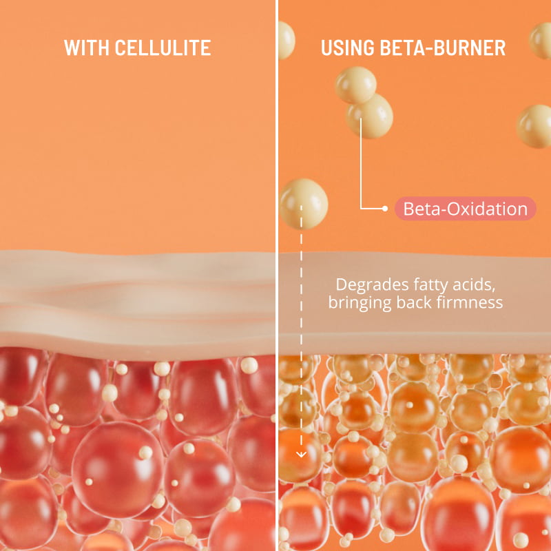 Anti-Cellulite Natural Reducing Cream | Freshly Cosmetics